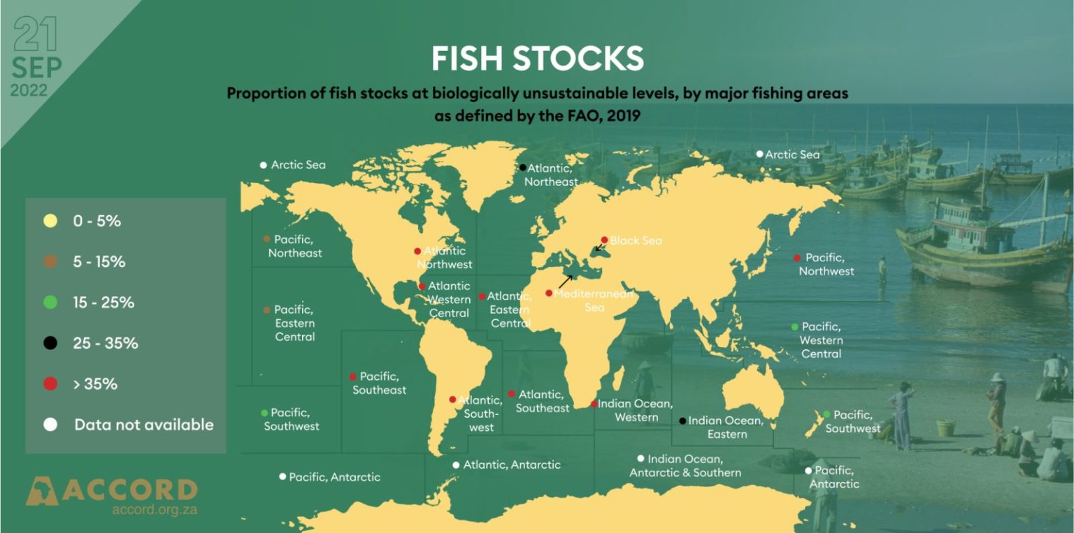 Regulatory gaps in fisheries governance in Africa: security risks and ...