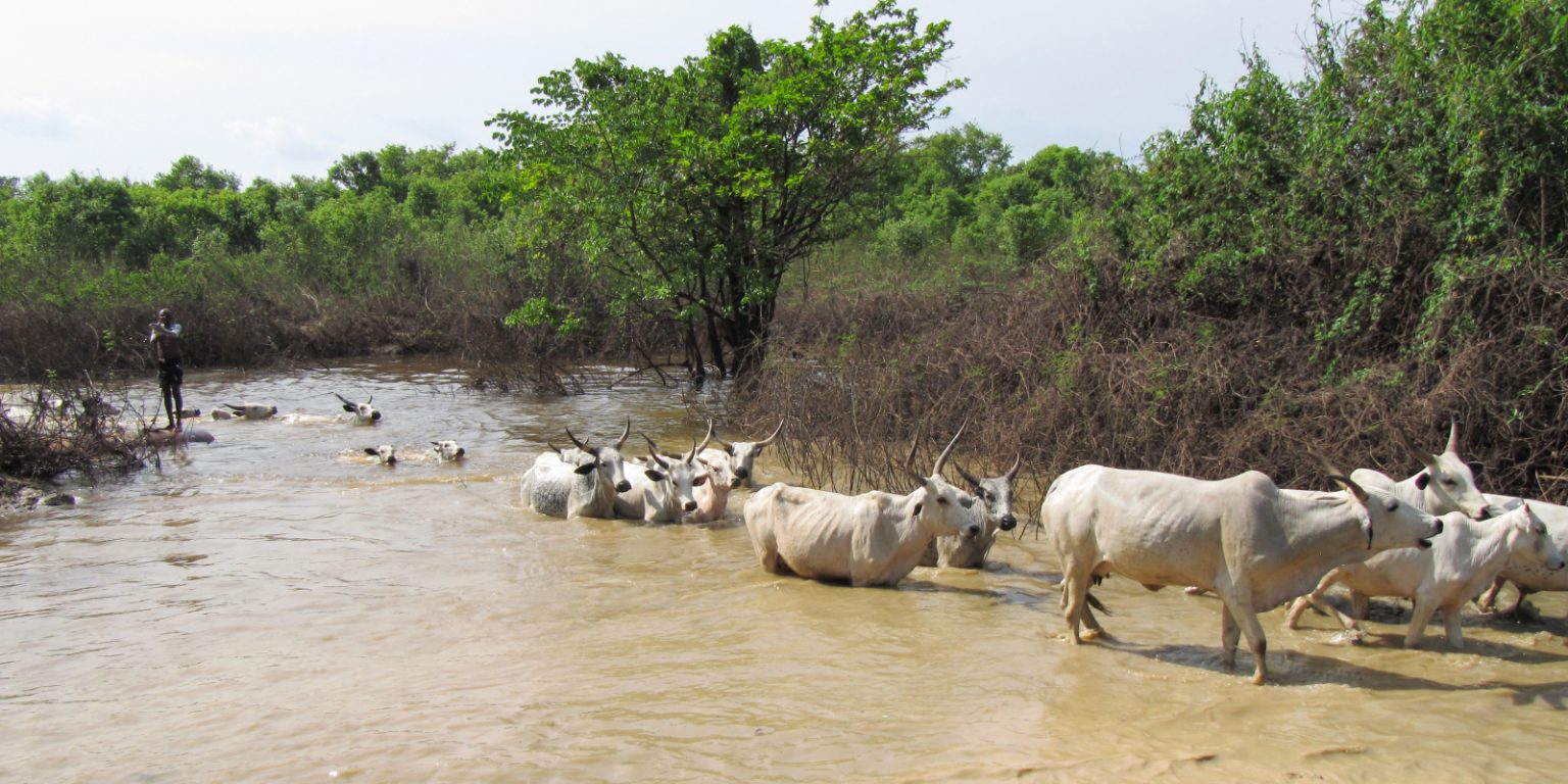 Advancing the Climate Security Agenda in the SADC Region – ACCORD