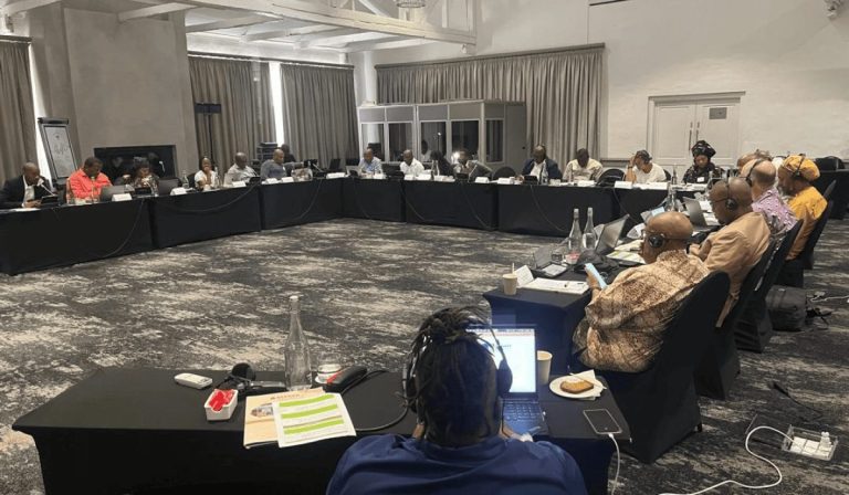 Reflecting on the 2024 Elections in Southern Africa – ACCORD